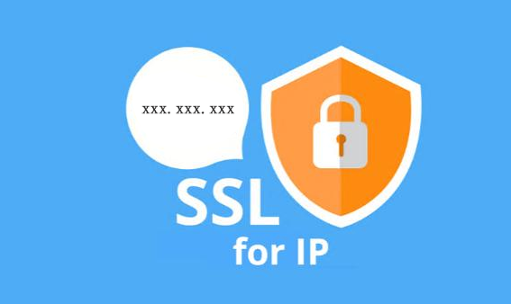 - DigiCert证书评测网 IP SSL证书是什么意思 如何申请