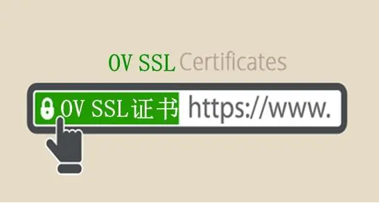 OV SSL证书查询如何操作 - DigiCert证书评测网