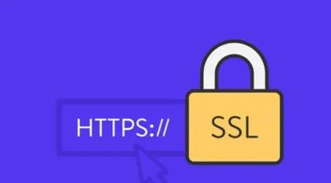 SSL证书的私钥是什么 如何查看 - DigiCert证书评测网